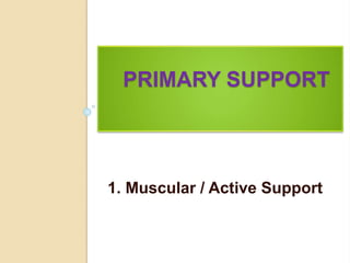 Supports of Uterus | PPTX