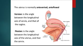 supports of uterus, prolapse class1.pptx