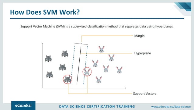 SVM Algorithm Explained | Support Vector Machine Tutorial Using R | Edureka | PDF | Web ...
