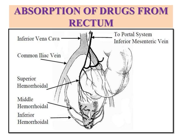 Suppository | PPTX | Medical Health