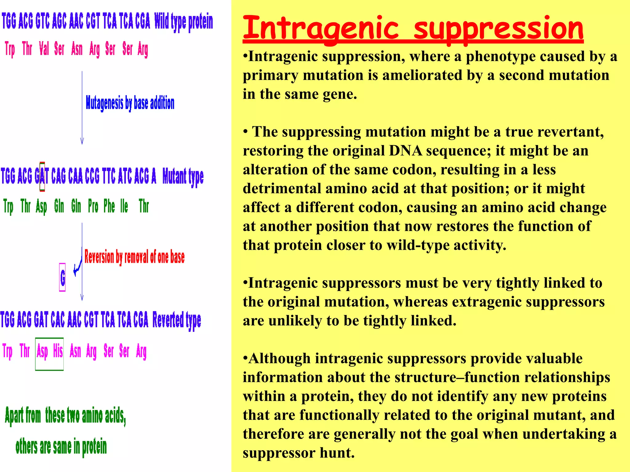 Suppressor mutation | PPTX