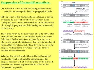 Suppressor mutation | PPTX