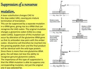 Suppressor mutation | PPTX