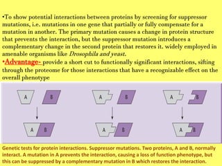 Suppressor mutation | PPTX