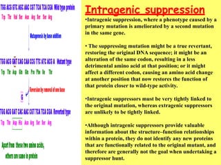 Suppressor mutation | PPTX