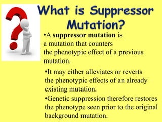 Suppressor mutation | PPT
