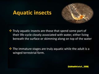 Insects of aquatic ecosystem | PPTX