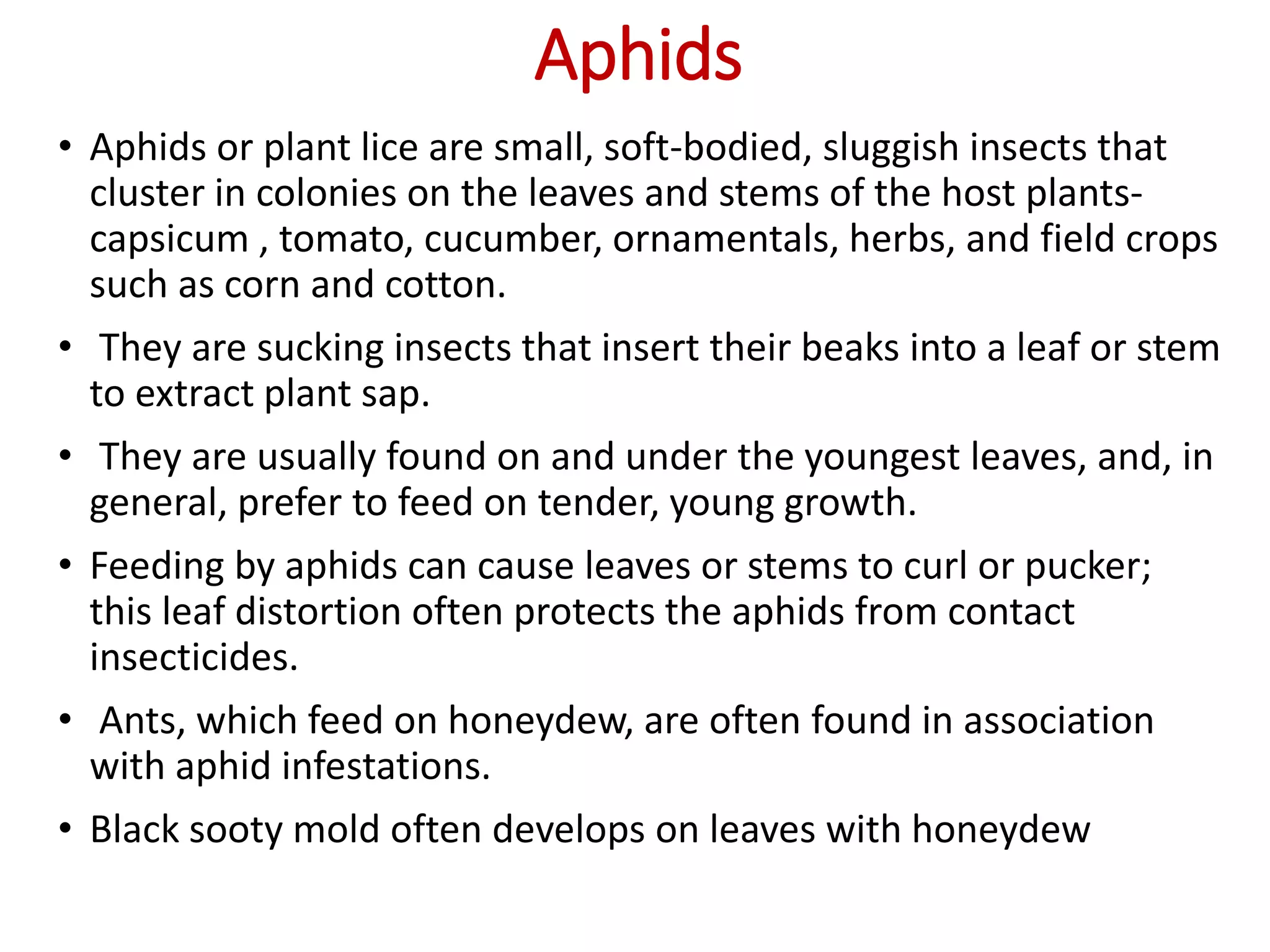 biocontrol of greenhouse or glasshouse pests | PPT