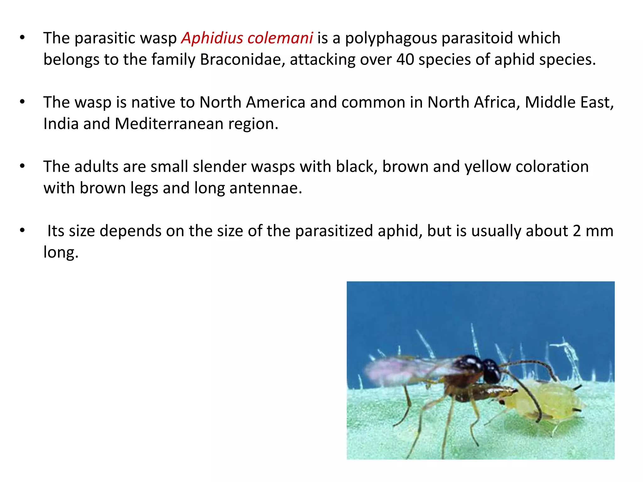biocontrol of greenhouse or glasshouse pests | PPT