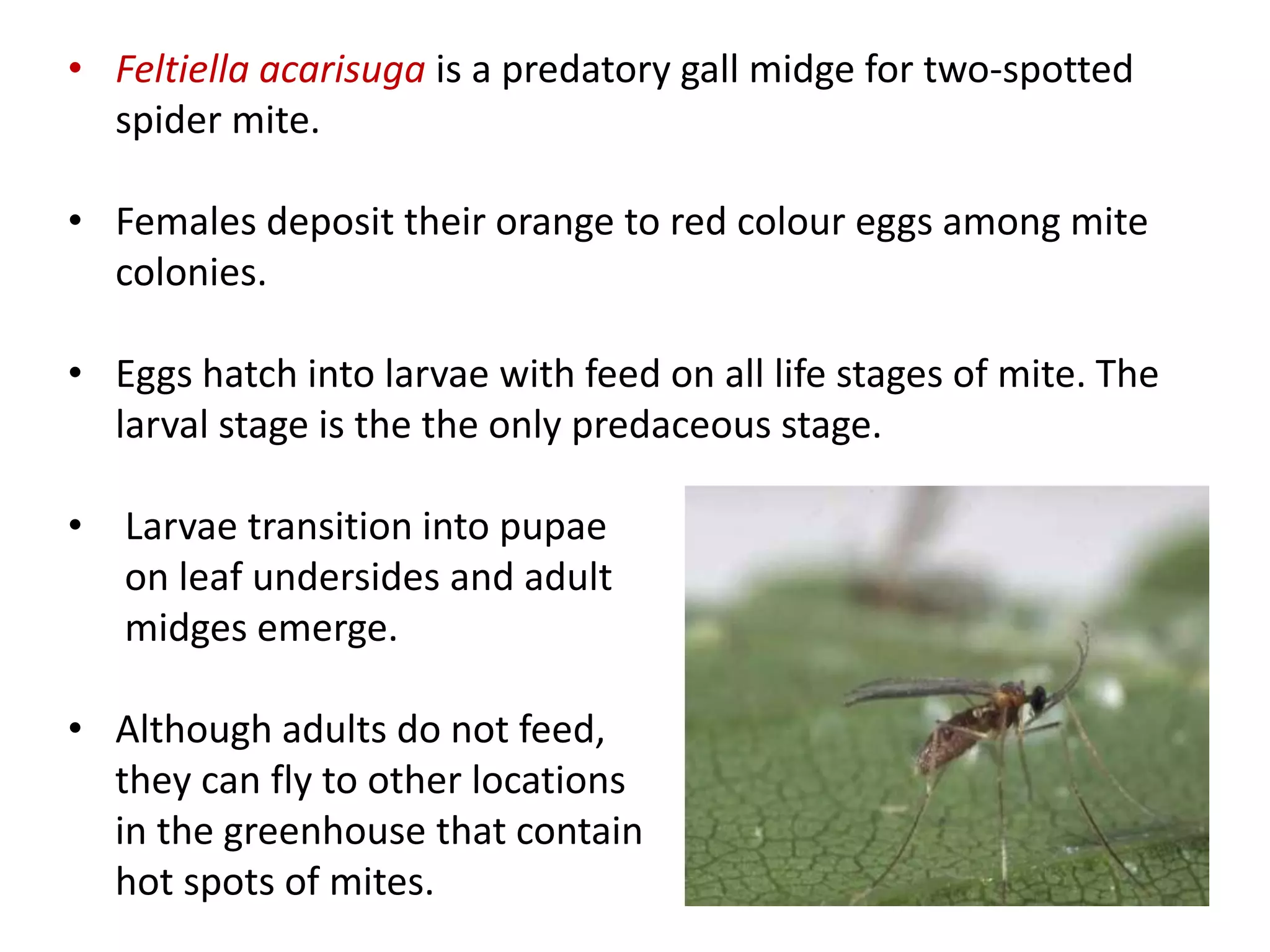 biocontrol of greenhouse or glasshouse pests | PPT