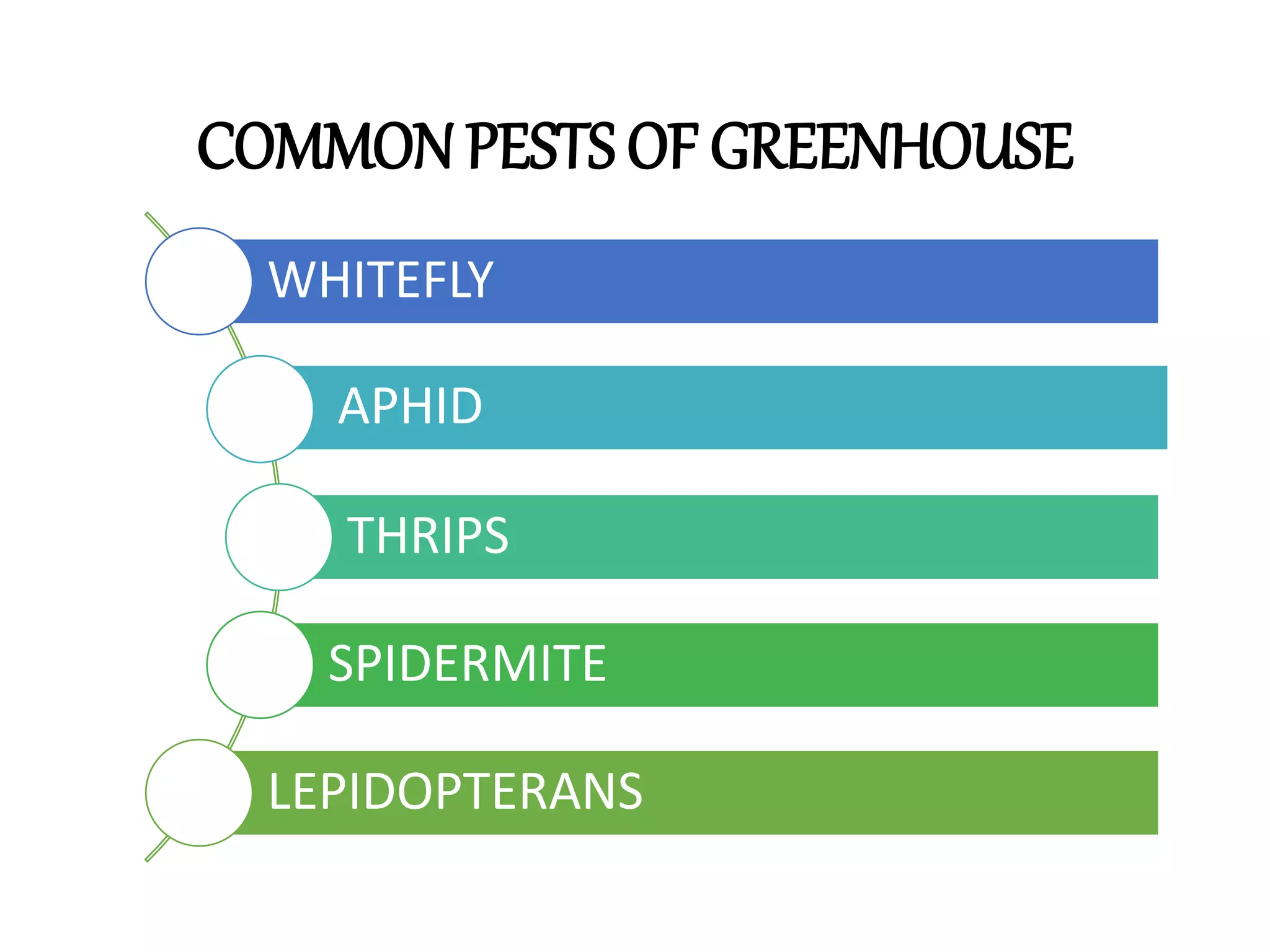 biocontrol of greenhouse or glasshouse pests | PPT