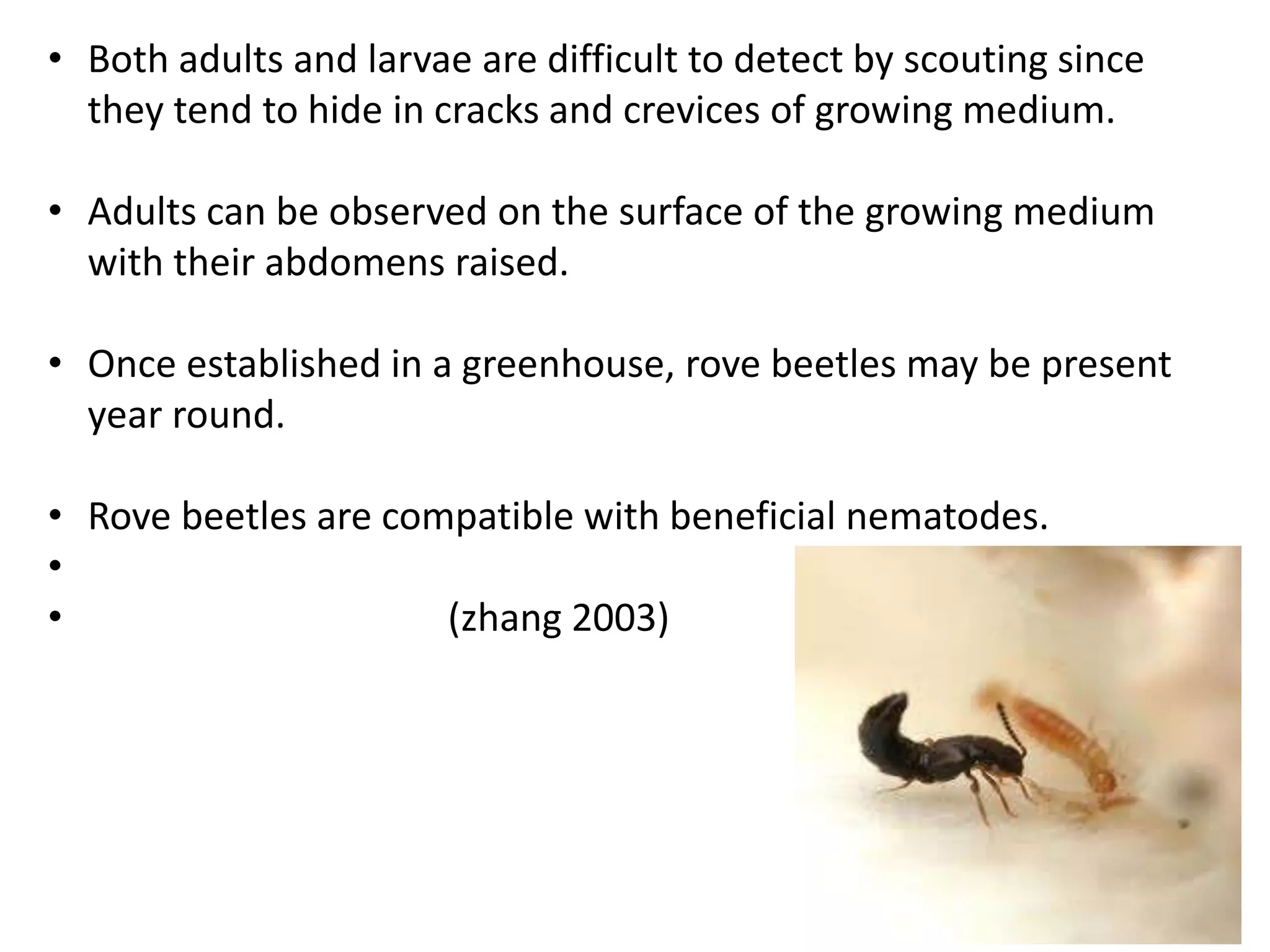 biocontrol of greenhouse or glasshouse pests | PPT