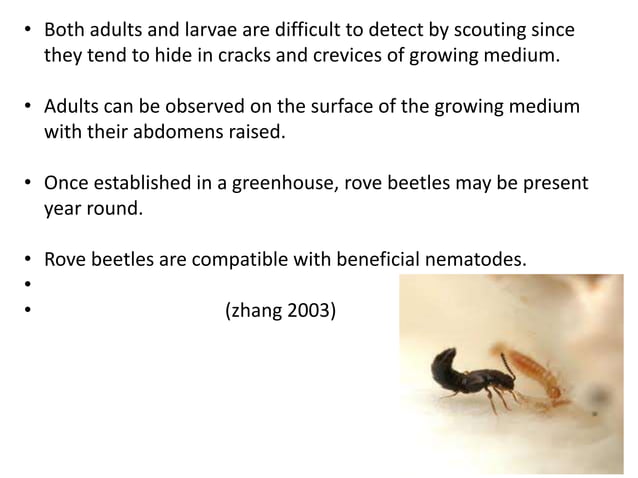 biocontrol of greenhouse or glasshouse pests | PPT