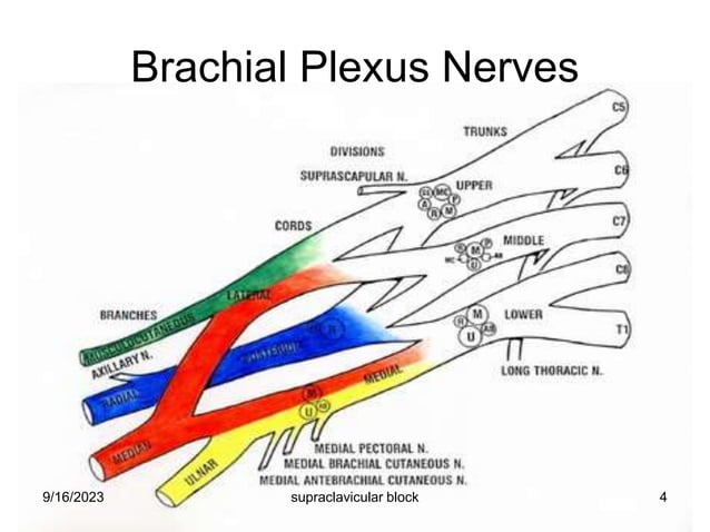 supra clavicular block.ppt
