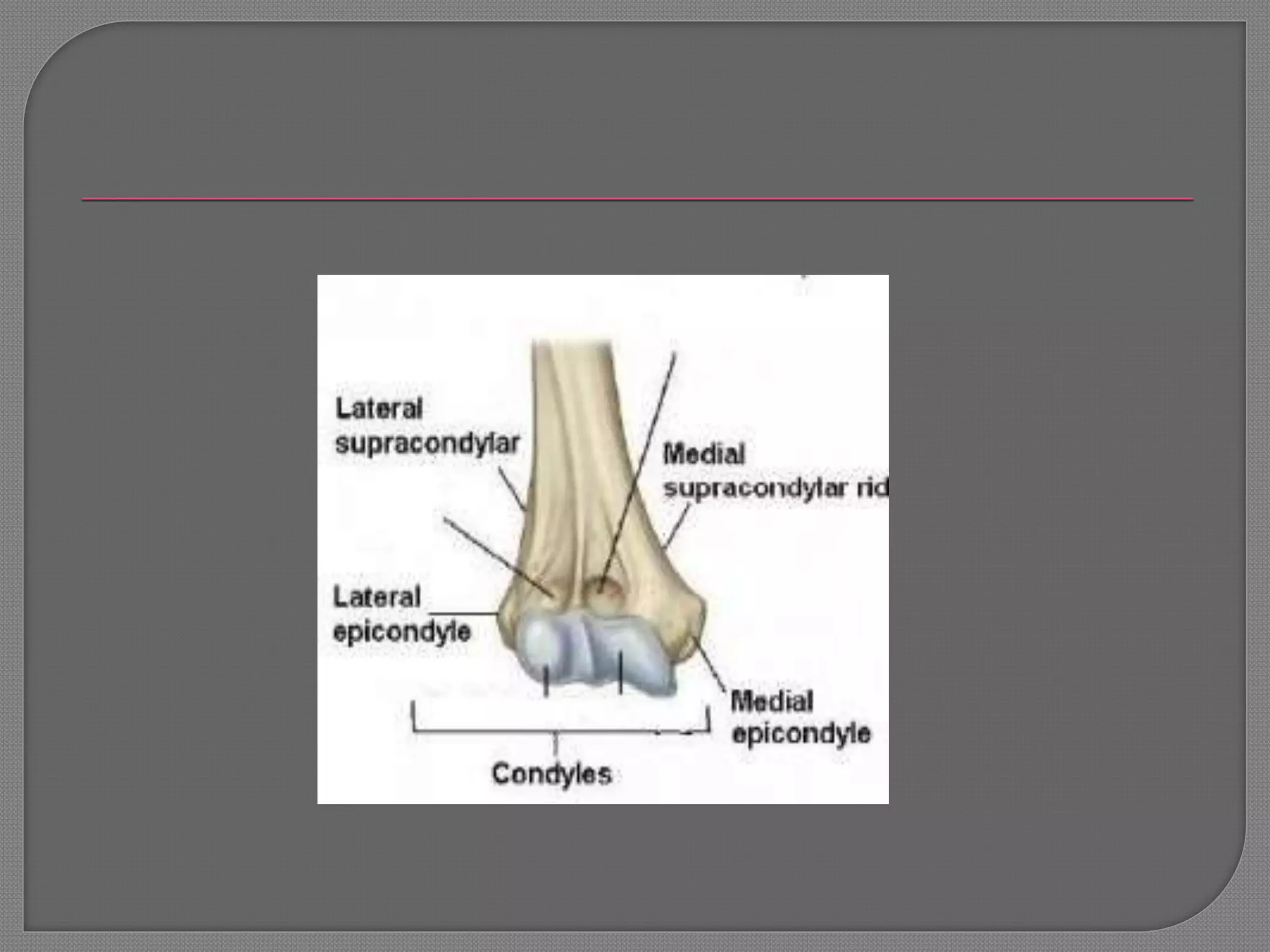 supracondylarfractureofthehumerus-180125165039.pdf