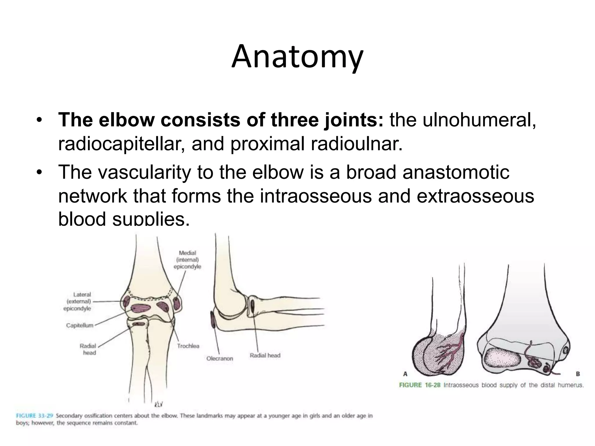 Supracondylar humeral fracture | PPTX