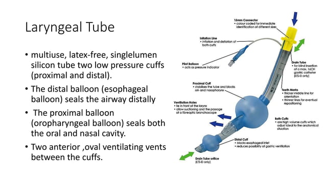 Supraglottic airway devices | PPTX | Ear, Nose and Throat Conditions ...