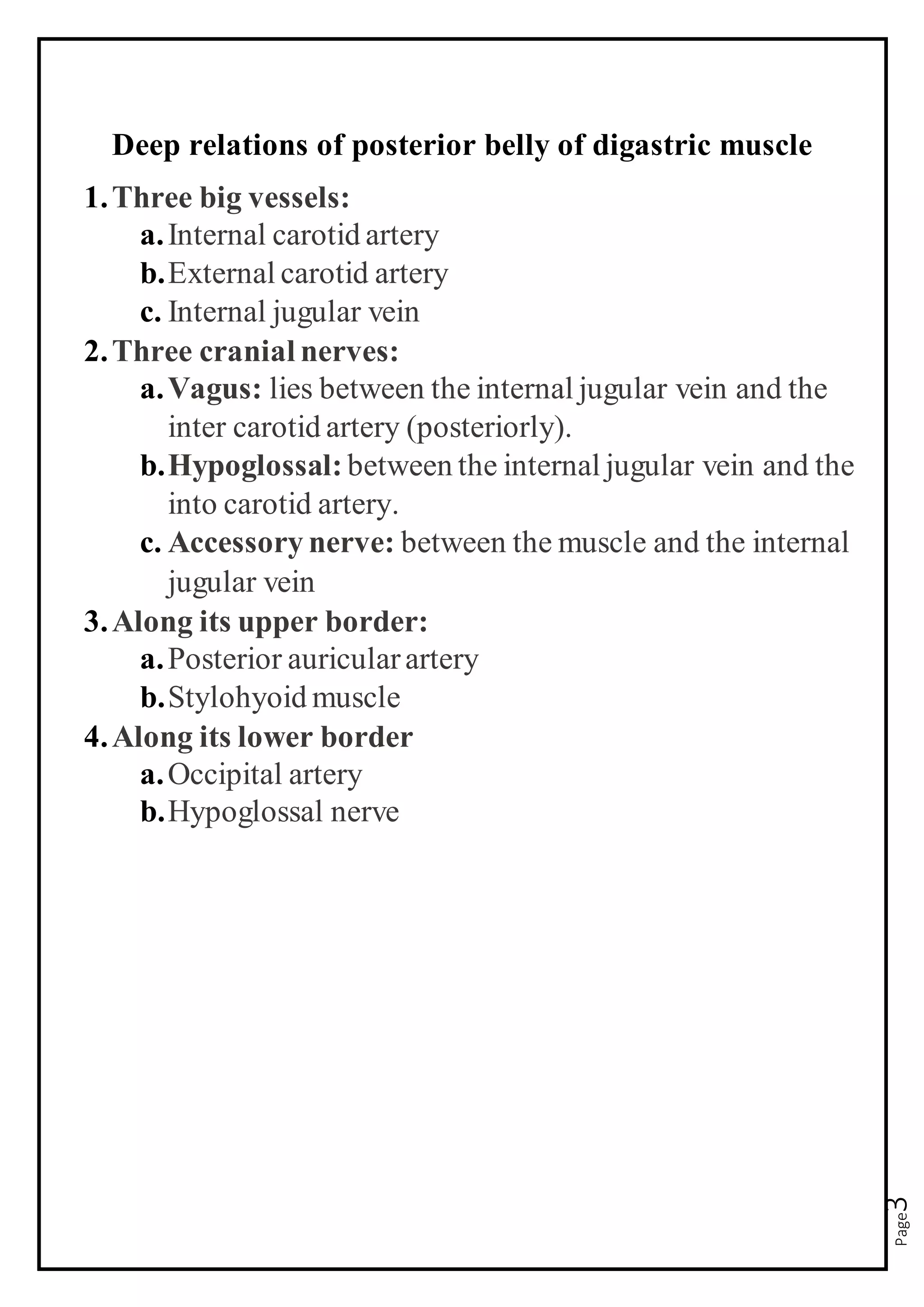 Suprahyoid Muscles | DOCX