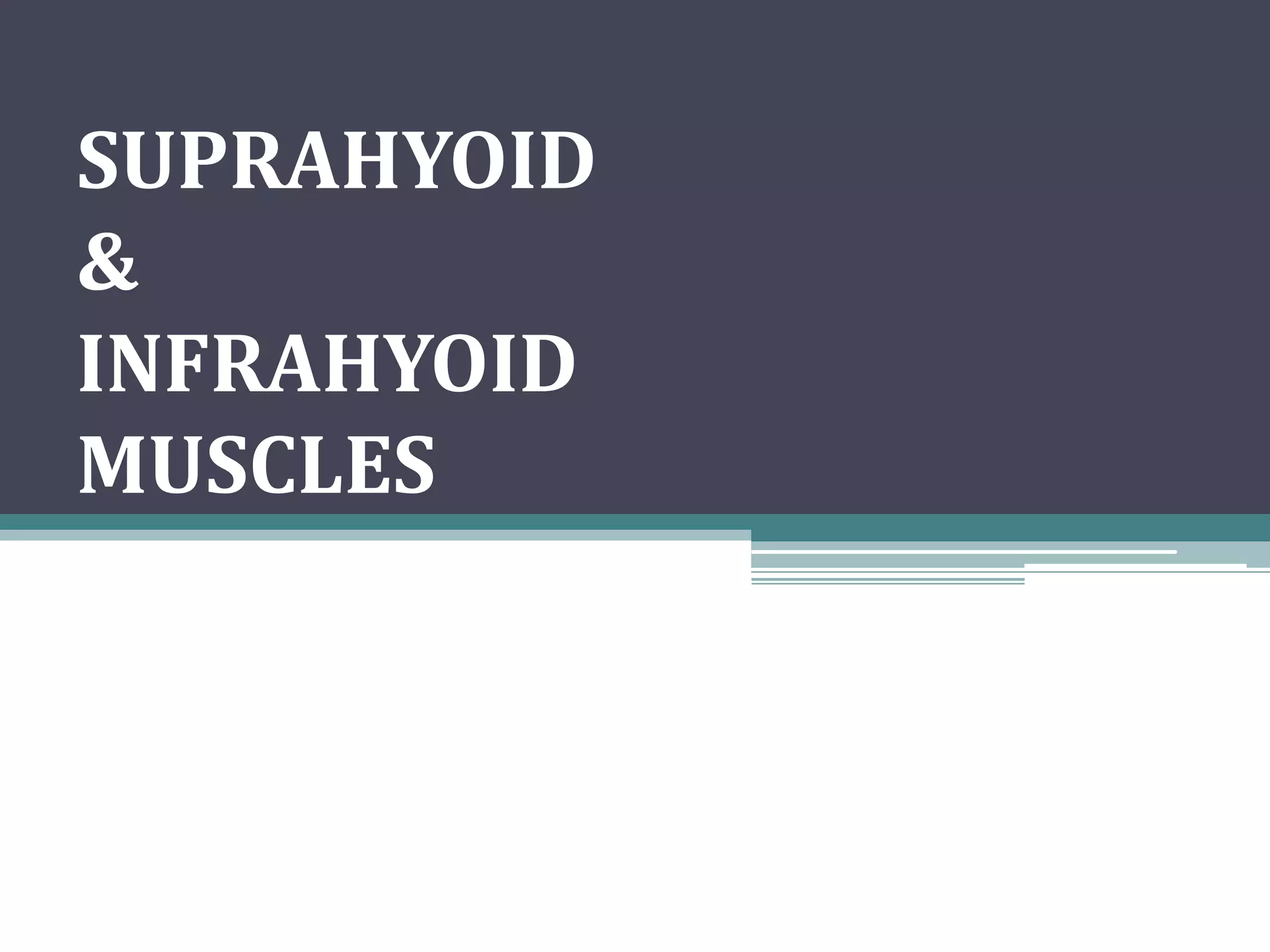 Suprahyoid and infrahyoid muscles | PPTX