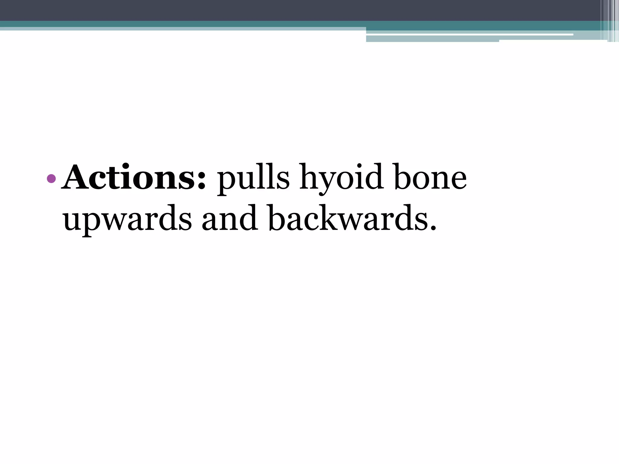 Suprahyoid and infrahyoid muscles | PPTX