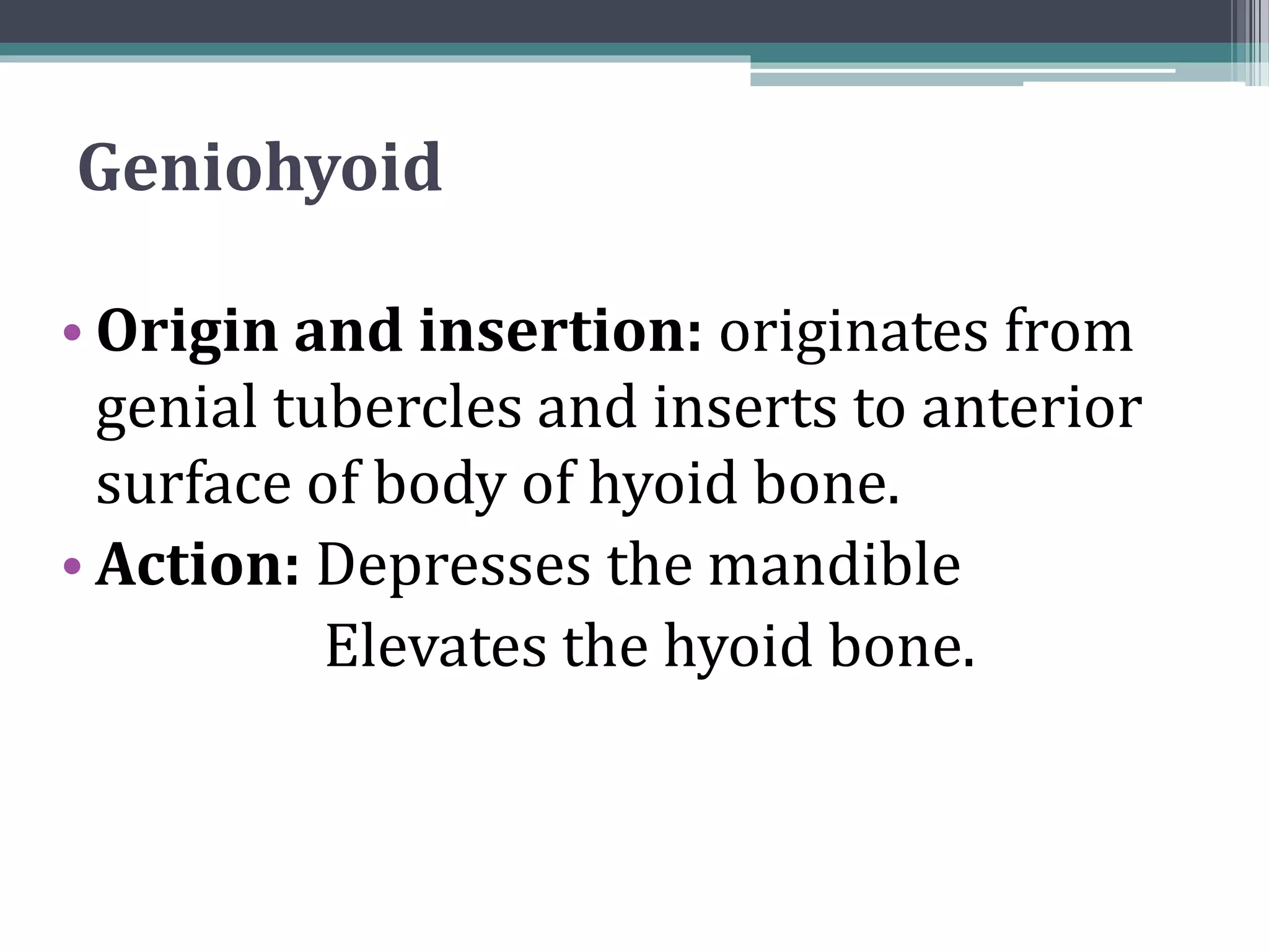 Suprahyoid and infrahyoid muscles | PPTX