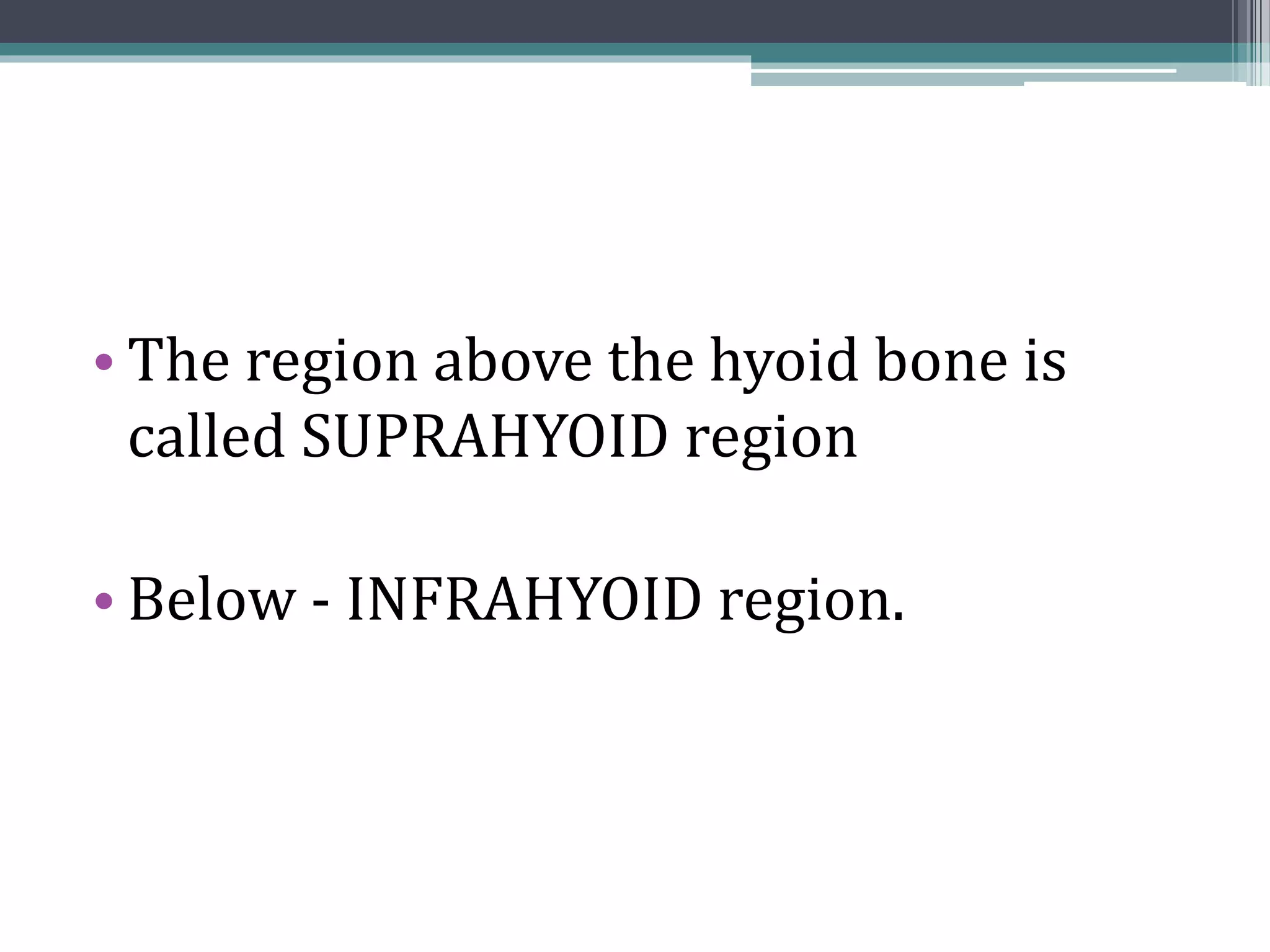 Suprahyoid and infrahyoid muscles | PPTX