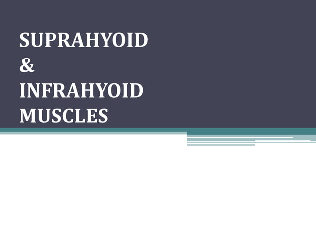 Suprahyoid and infrahyoid muscles | PPTX | Thyroid Disorders ...