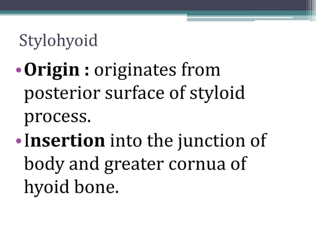 Suprahyoid and infrahyoid muscles | PPTX | Thyroid Disorders ...