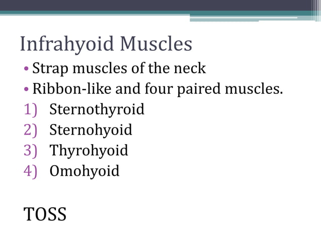 Suprahyoid and infrahyoid muscles | PPTX | Thyroid Disorders ...