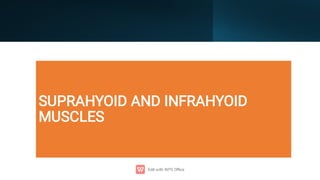Suprahyoid and Infrahyoid Muscles of neck.pdf