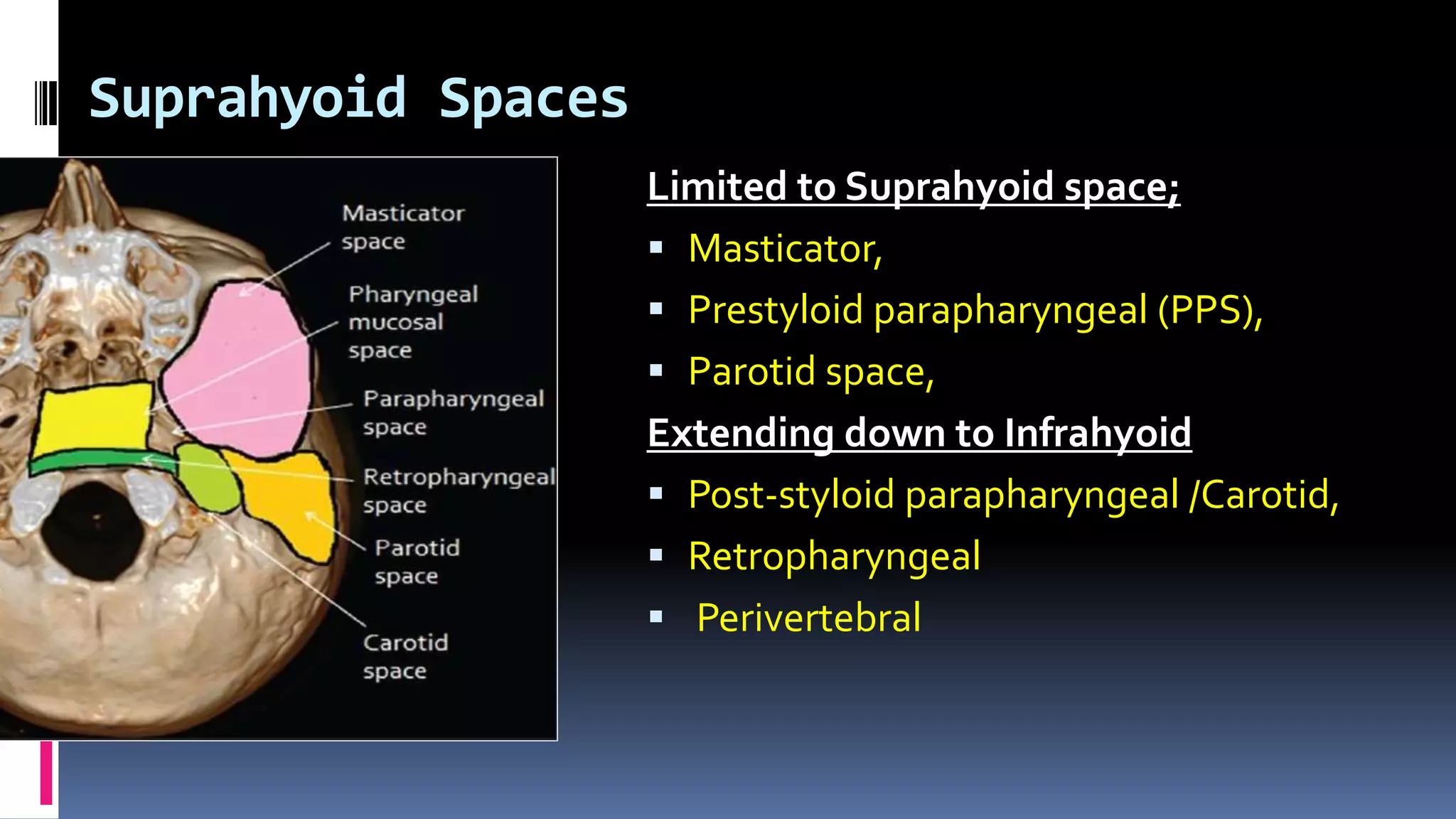 Suprahyoid cysts on CT & MRI | PPTX