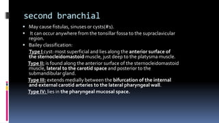 Suprahyoid cysts on CT & MRI | PPTX | Thyroid Disorders | Endocrine and ...