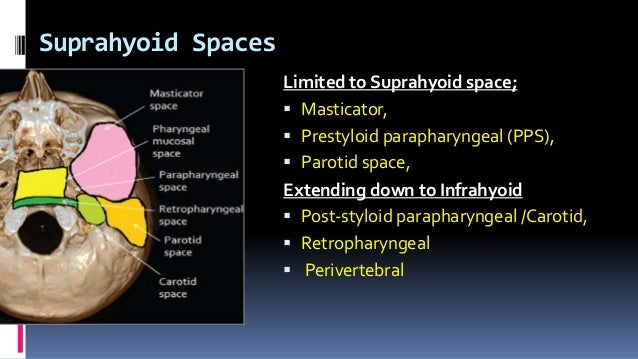 Suprahyoid cysts on CT & MRI