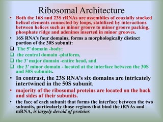 Supramolecules assembly by kk sahu | PPTX