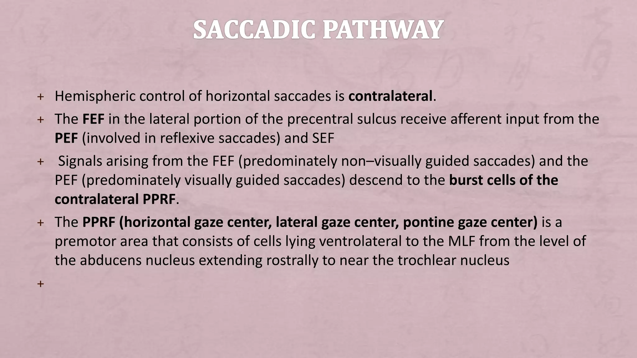 Supranuclear control of eye movements | PPTX