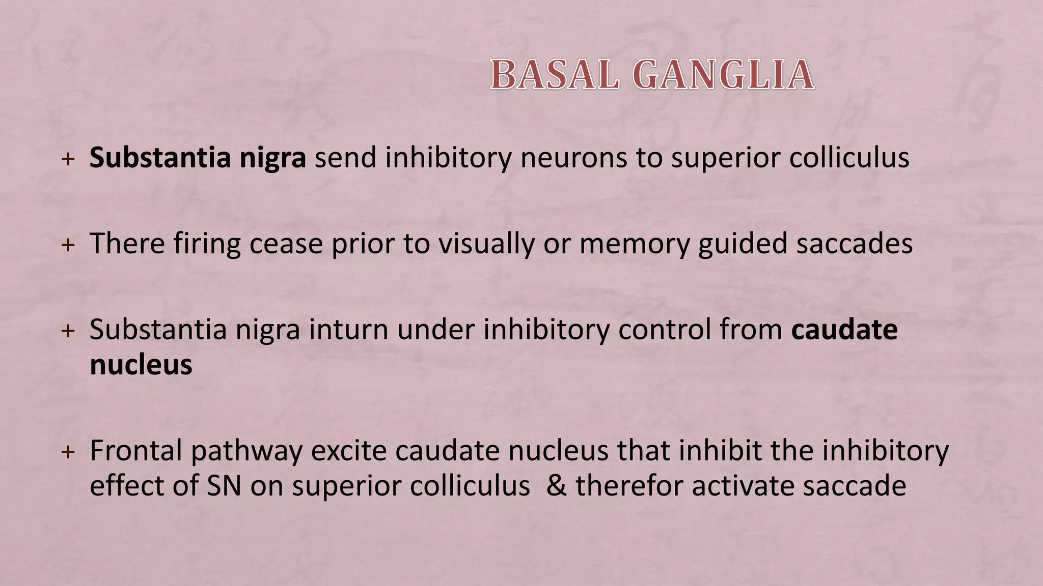 Supranuclear control of eye movements | PPTX