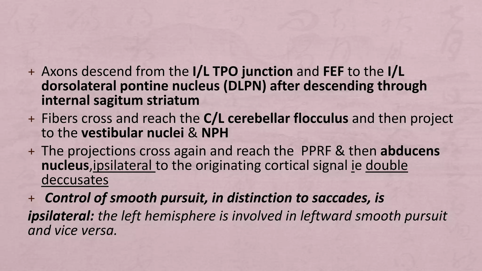 Supranuclear control of eye movements | PPTX