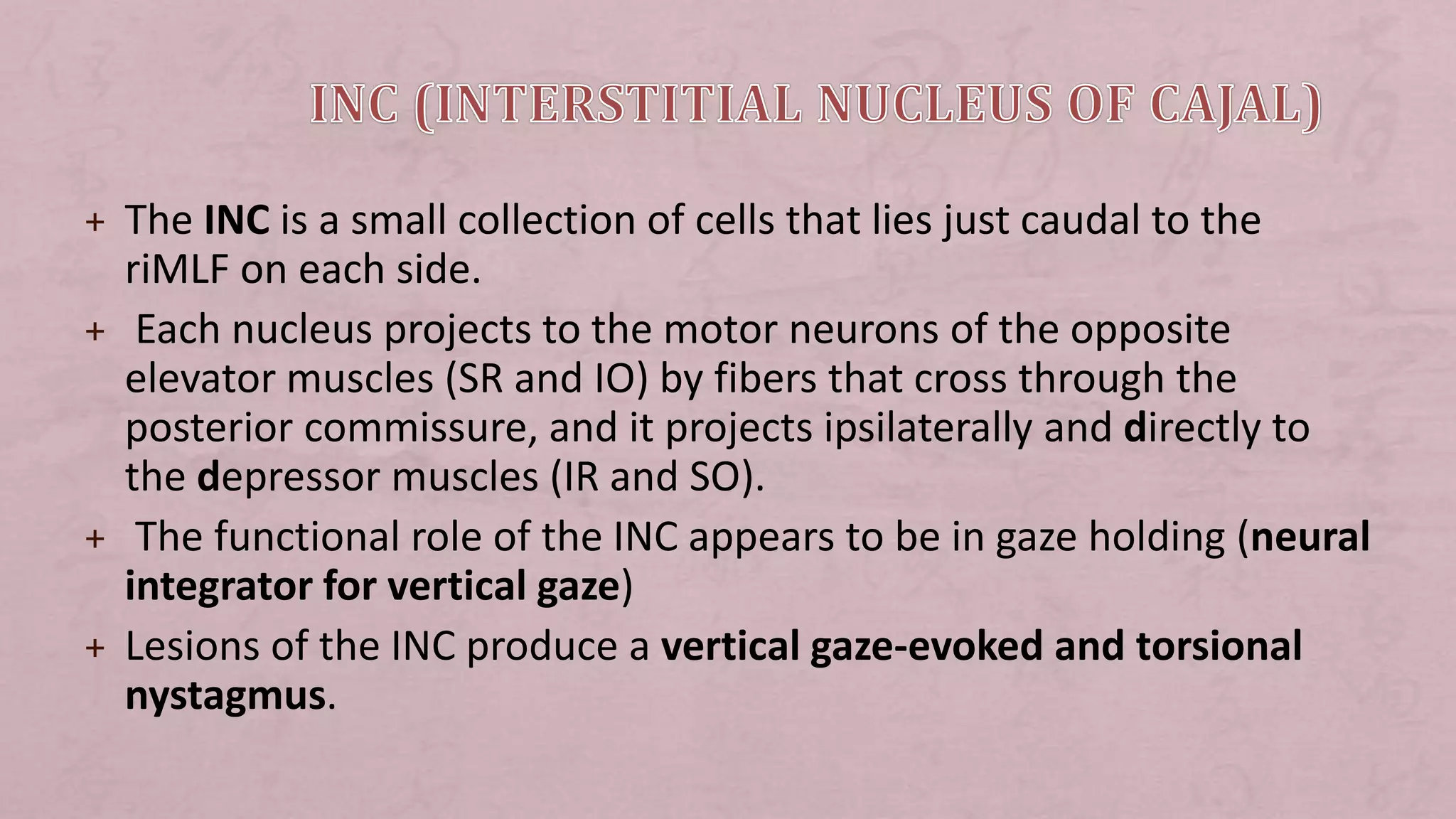 Supranuclear control of eye movements | PPTX