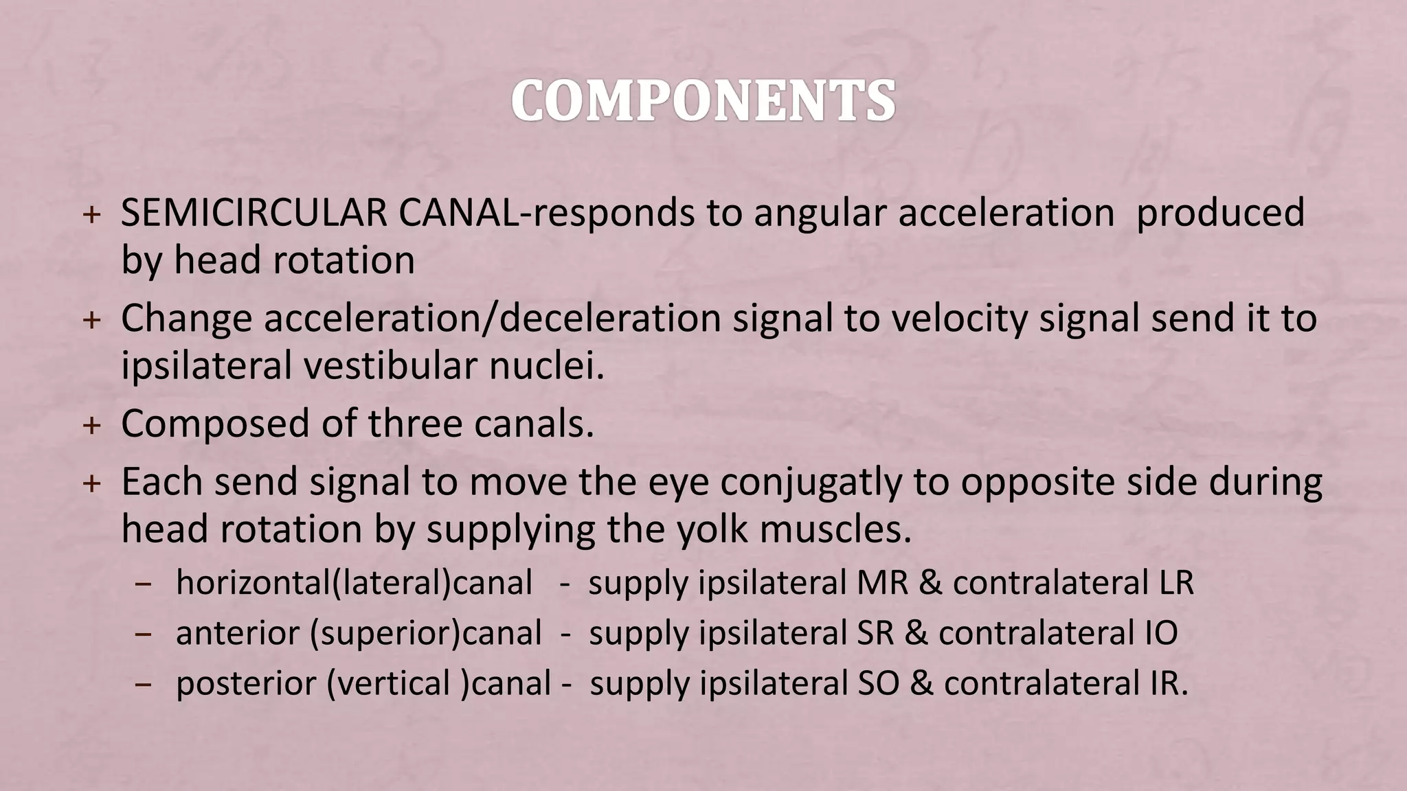 Supranuclear control of eye movements | PPTX