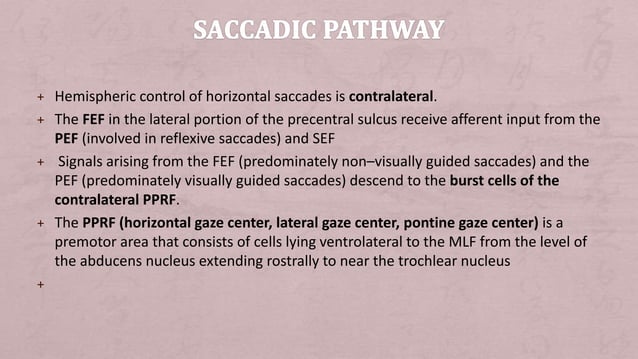 Supranuclear control of eye movements | PPTX