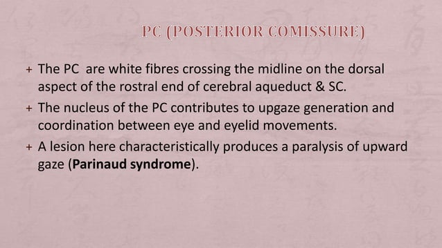 Supranuclear control of eye movements | PPTX