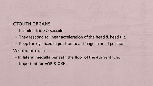 Supranuclear control of eye movements | PPTX