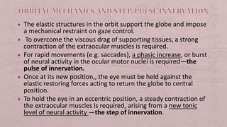 Supranuclear control of eye movements | PPTX