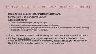 Supranuclear control of eye movements | PPTX