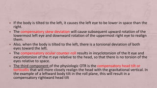 Supranuclear control of eye movements | PPTX