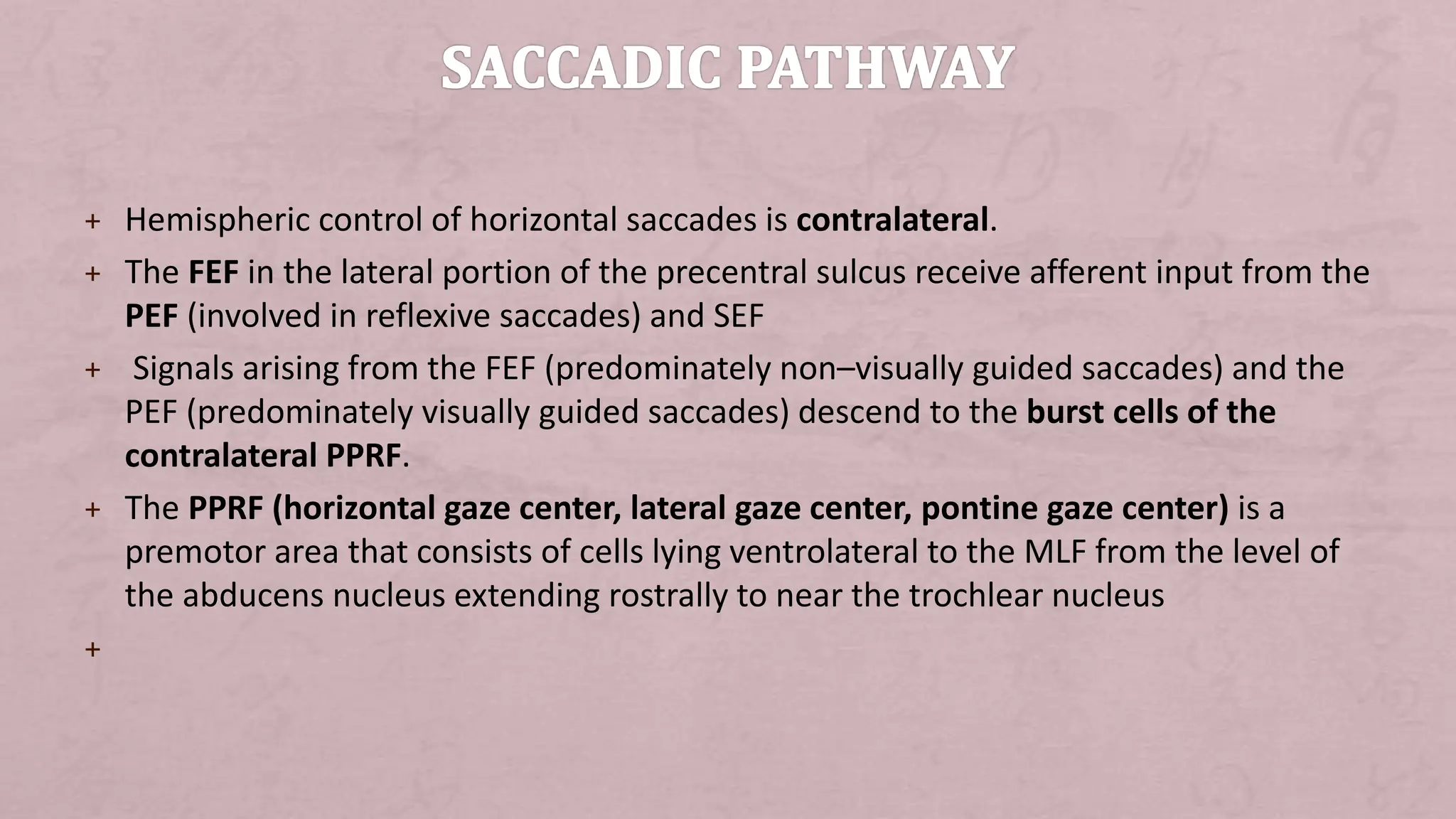 supranuclear control of eye movements-200111031756 (1).pdf