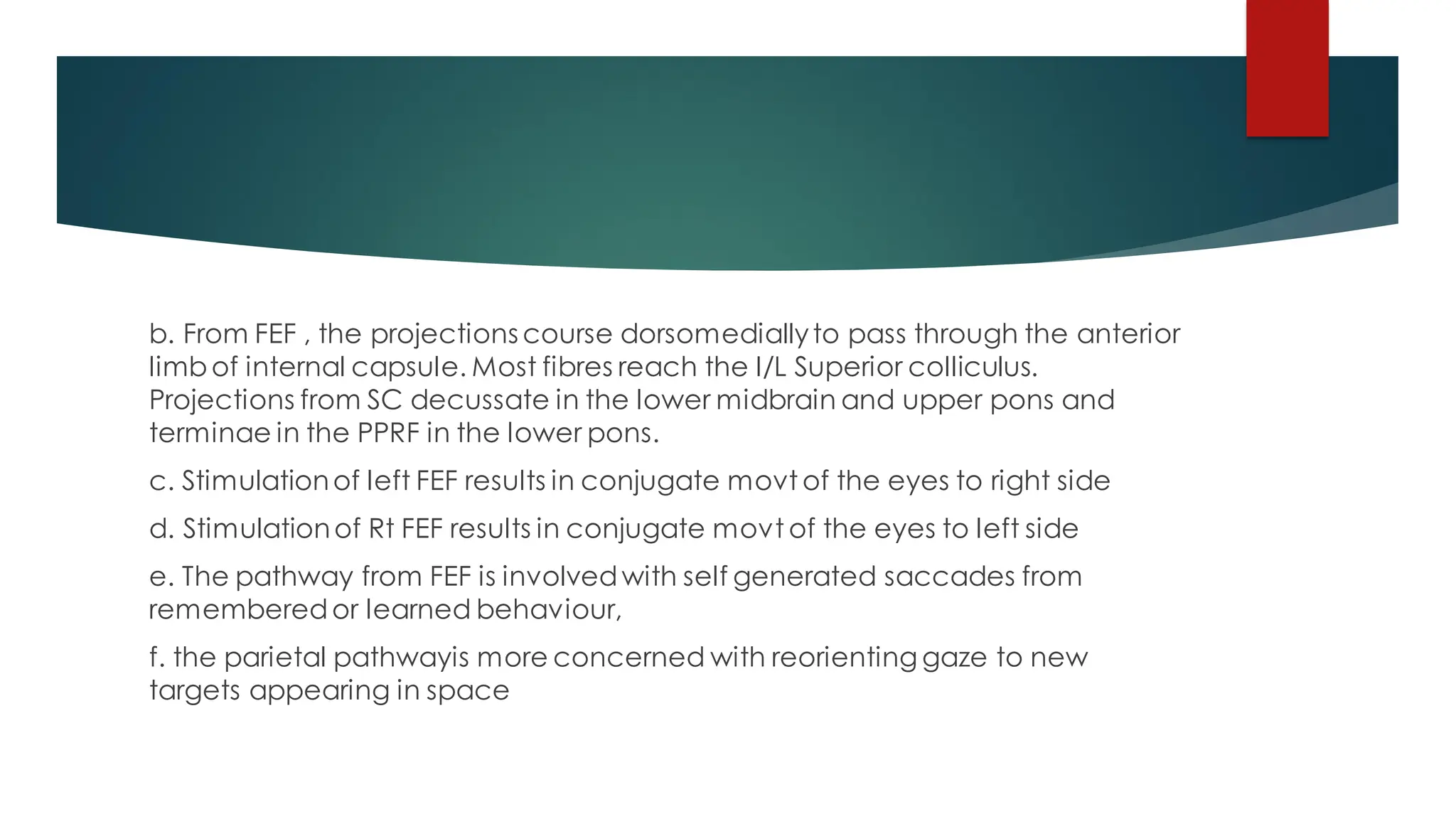 Supranuclear and Internuclear Gaze Pathway | PDF
