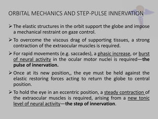 Supranuclearcontrolofgaze 180318184028 | PDF