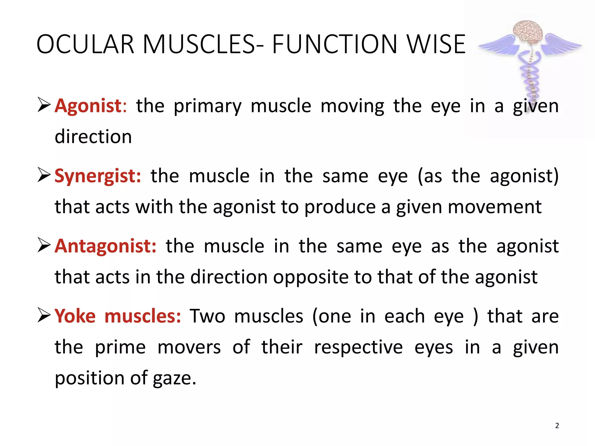 Supranuclear control of gaze | PPTX