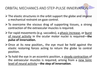 Supranuclear control of gaze | PPTX